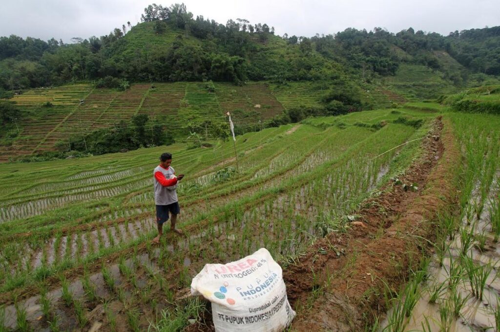 Foto: Pupuk Indonesia Menjamin Ketahanan Pangan Berkelanjutan ...